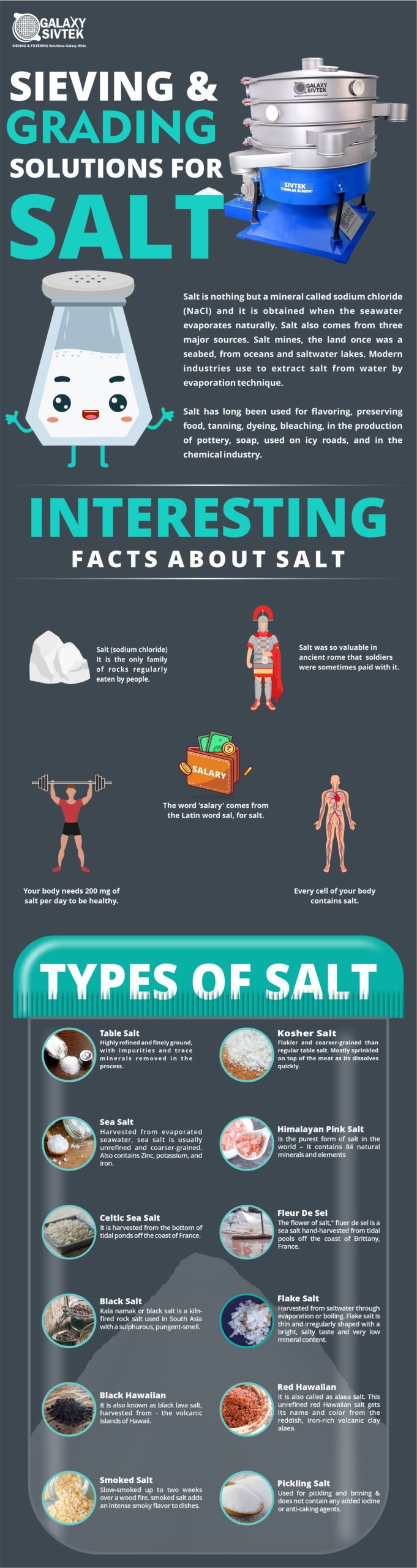 Galaxy Sivtek Infographics: Visual Insights into Industrial Solutions